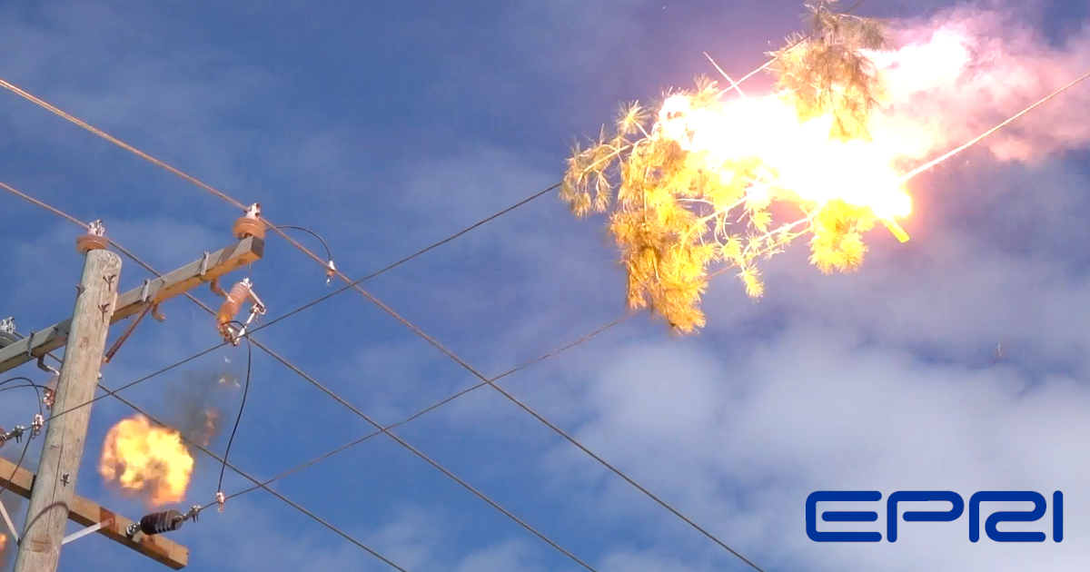 Vegetation-Caused Faults and Burndown Scenarios | Distribution