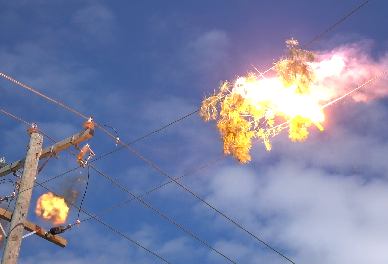 Conductor Burndown and Wildfire Mitigation When Using Compact Single ...